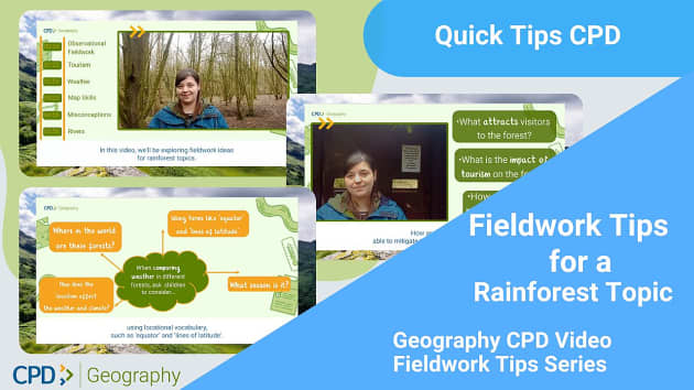 Fieldwork Tips for Rainforest Topics (teacher made) - Twinkl