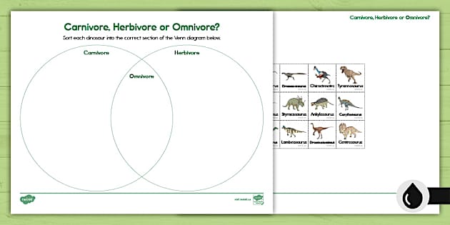 Dinosaurs Found in Canada: Carnivore, Herbivore or Omnivore?