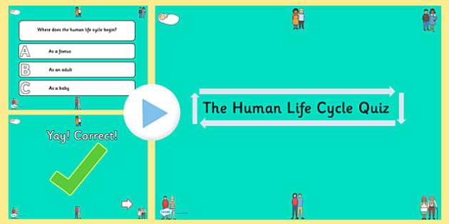 KS1 Human Life Cycle Quiz