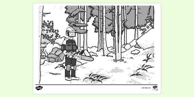 Forestry Colouring Sheet | Colouring Sheets (teacher made)