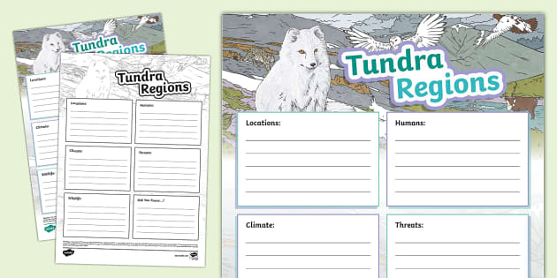 Tundra Regions Fact File Template (teacher made) - Twinkl