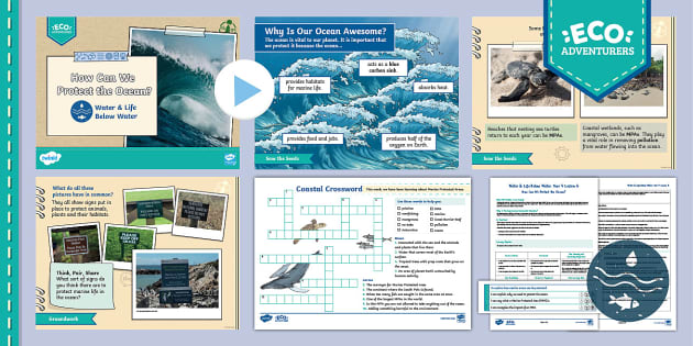 Year 4 Water: Lesson 6 - How Can We Protect the Ocean?