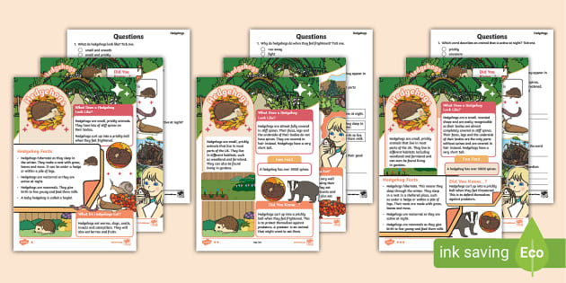 KS1 All About Hedgehogs Differentiated Reading Comprehension Activity
