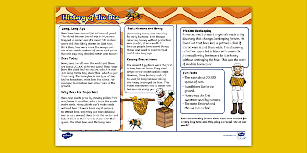 History of Bees Fact File - Educational Resource - Twinkl