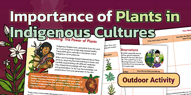 Indigenous Plants Activity: Grade 2 Social Studies