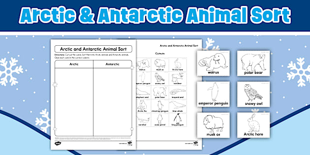 Arctic and Antarctic Animal Sort Worksheet for K-2nd Grade