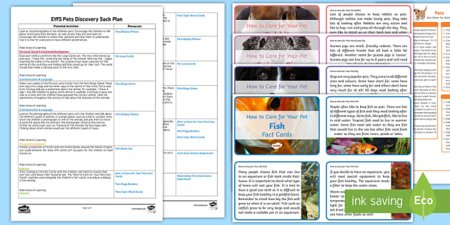 EYFS Pets Discovery Sack Plan and Resource Pack - Twinkl