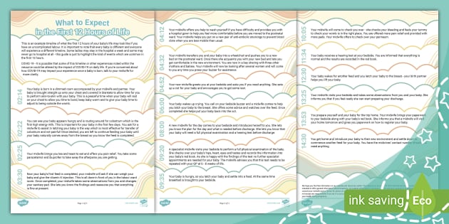 A Midwife's Guide - The First 12 Hours of Life - Twinkl
