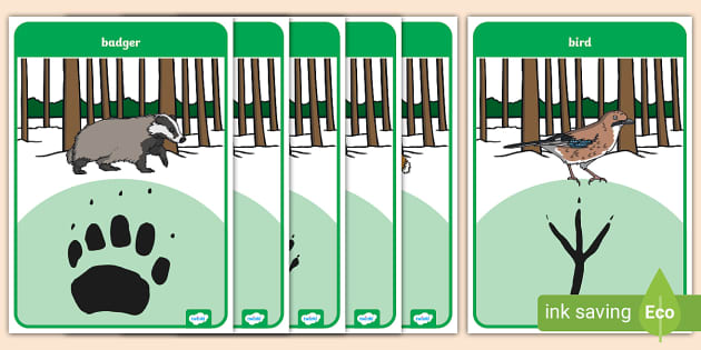 Woodland Animal Footprints Poster Pack - Twinkl