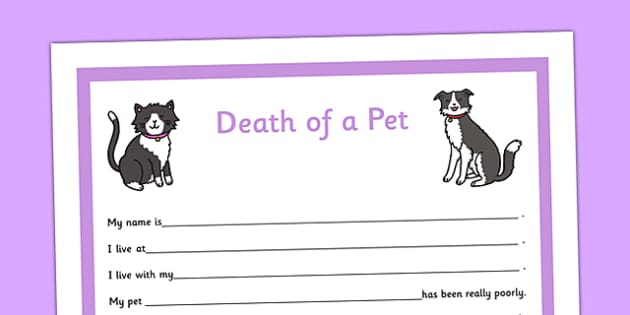 Social Situation Sheet Death of a Pet Primary - Twinkl