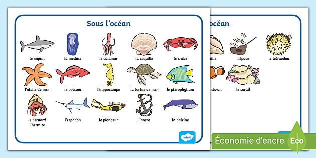 Ensemble de mots : sous l'océan (l'enseignant a fait)