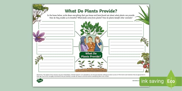 What Do Plants Provide? Mind Map (nauczyciel wykonał) What Do Plants Provide? Mind Map (nauczyciel wykonał)