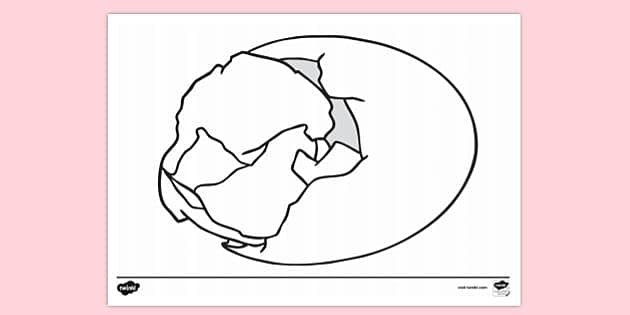 Empty Hatched Egg Colouring | Colouring Sheets - Twinkl
