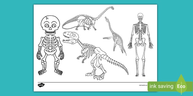 Skeleton Doodle Colouring Page (profesor hizo) - Twinkl