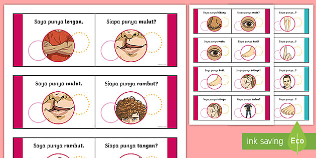 My Body Differentiated Loop Cards (teacher made) - Twinkl