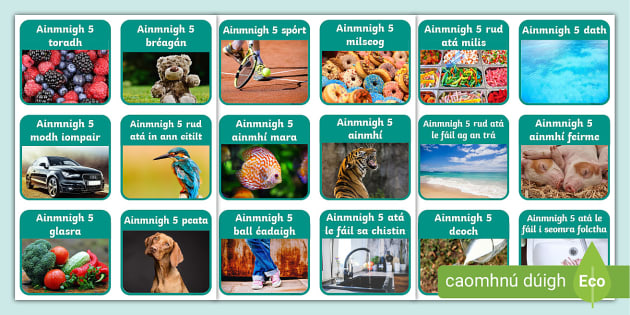 Ainmnigh Cúig Rud: Cluiche Catagóirí | Twinkl | - Twinkl