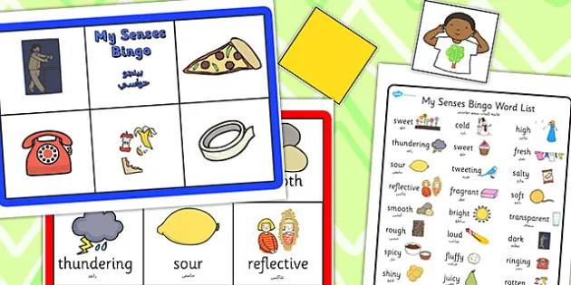 My Senses Bingo Arabic Translation (teacher made) - Twinkl
