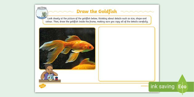Draw a Goldfish Art Activity, Goldfish Drawing - Twinkl