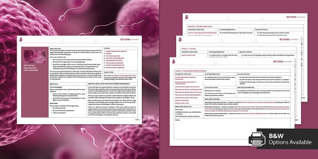 KS3 Human Reproduction Unit Overview | Science | Beyond