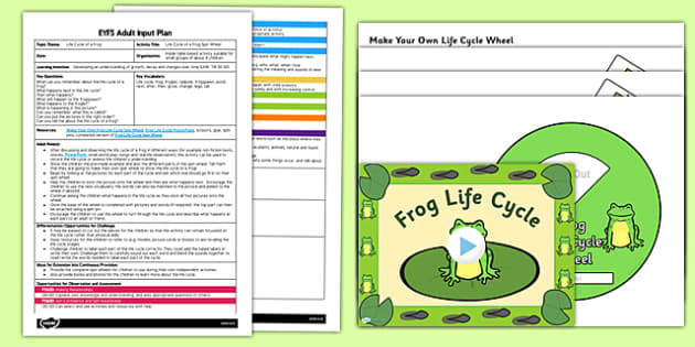 Life Cycle of a Frog Spin Wheel Activity EYFS Adult Input Plan and Resource