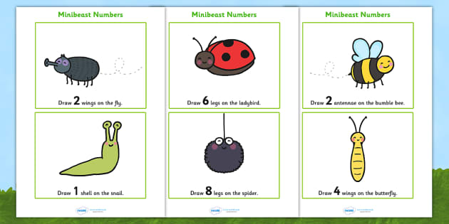 Minibeasts Drawing Number Worksheets - minibeasts, minibeast number