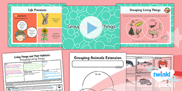 Grouping Living Things | Year 4 Lesson Pack (teacher made)