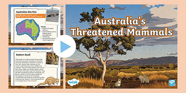 Australia's Threatened Mammals PowerPoint - Twinkl