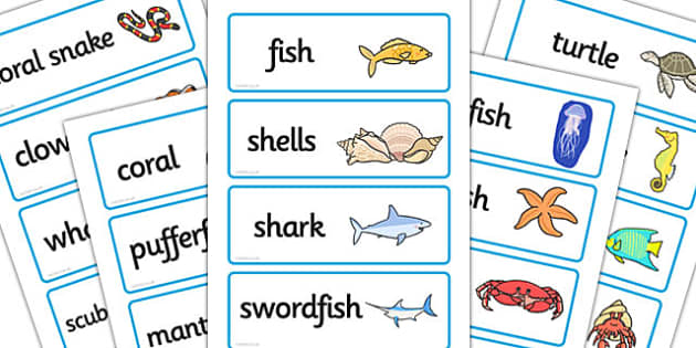 The Aquarium Role Play Word Cards-aquarium, role play, word cards, role ...