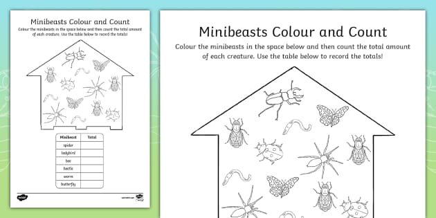 👉 Minibeasts Colour and Count Worksheet - Twinkl