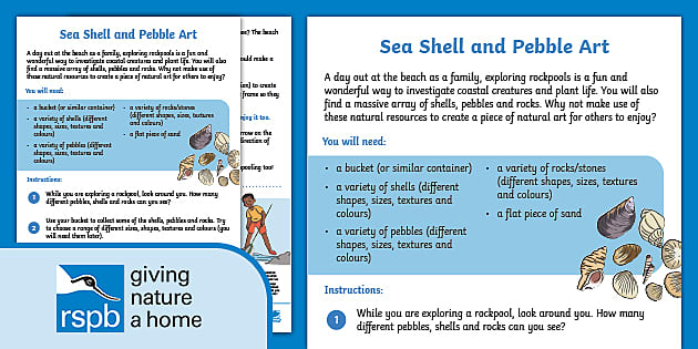 FREE! - Seashell Art for Kids | Twinkl Summer Craft Resources