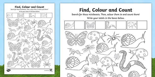 Minibeast Find, Colour and Count (teacher made) - Twinkl