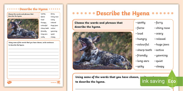 Describe the Hyena Writing Activity, Hyena (teacher made)