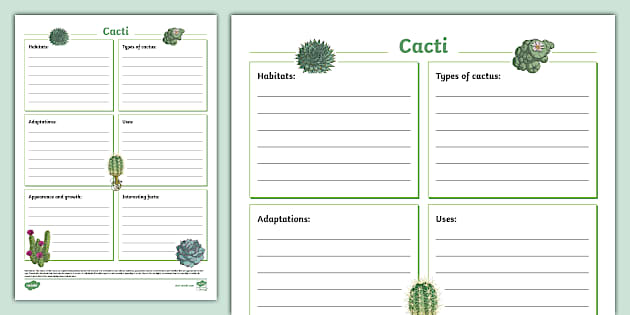Cacti Fact File Template (creat de profesori) - Twinkl