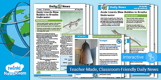 Anole Lizard Reading Comprehension | Twinkl NewsRoom