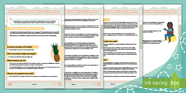 A Guide to Week 28 of Pregnancy (teacher made) - Twinkl