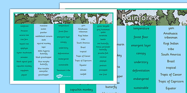 Rainforest Word Mat (teacher made)