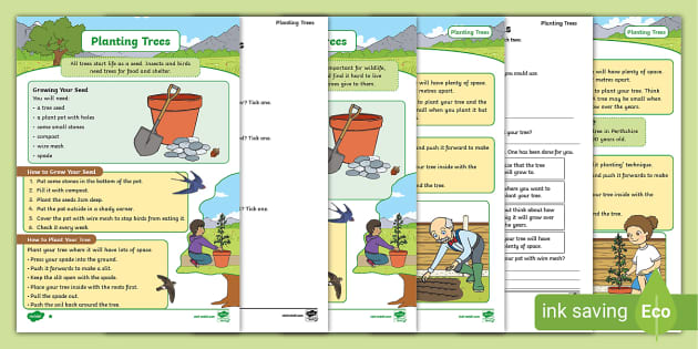 KS1 Planting Trees Differentiated Reading Comprehension Activity