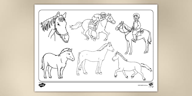 images of coloring pages of horses