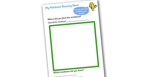 FREE! - My Minibeast Drawing Worksheet (teacher made)