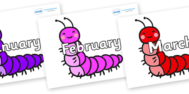 Months of the Year on Caterpillars (teacher made) - Twinkl
