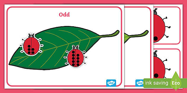 👉 Even and Odd Numbers Ladybirds Sorting Activity