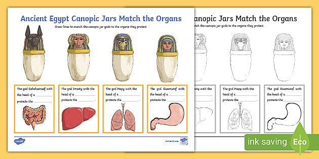 Ancient Egypt Canopic Jars: Match the Organs Activity