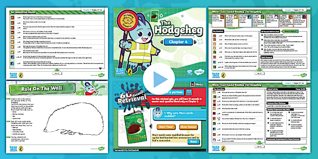 The Hodgeheg Whole-Class Guided Reading Pack: Chapter 4 [LKS2]