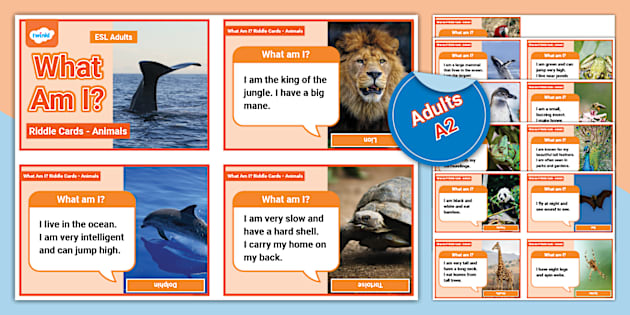 ESL What am I? Riddles - Twinkl