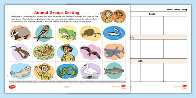 Northern Ireland Animal Groups Sorting Activity