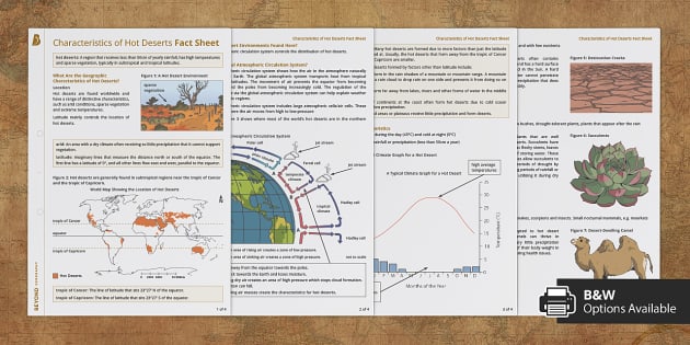 AQA Characteristics of Hot Deserts Fact Sheet (Teacher-Made)