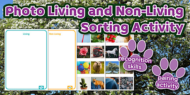 Living and Non-living Sorting Cards - Primary Resources