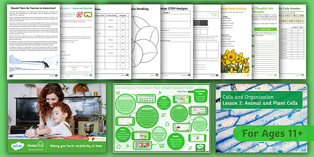 Australia Home Education Pack 11+ Years (teacher made)