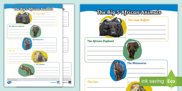 The Big 5 African Animals Fact File Template (Teacher-Made)