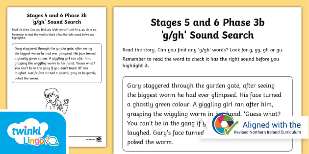 Northern Ireland Linguistic Phonics 3b 'g/gh' Sound Search Worksheet